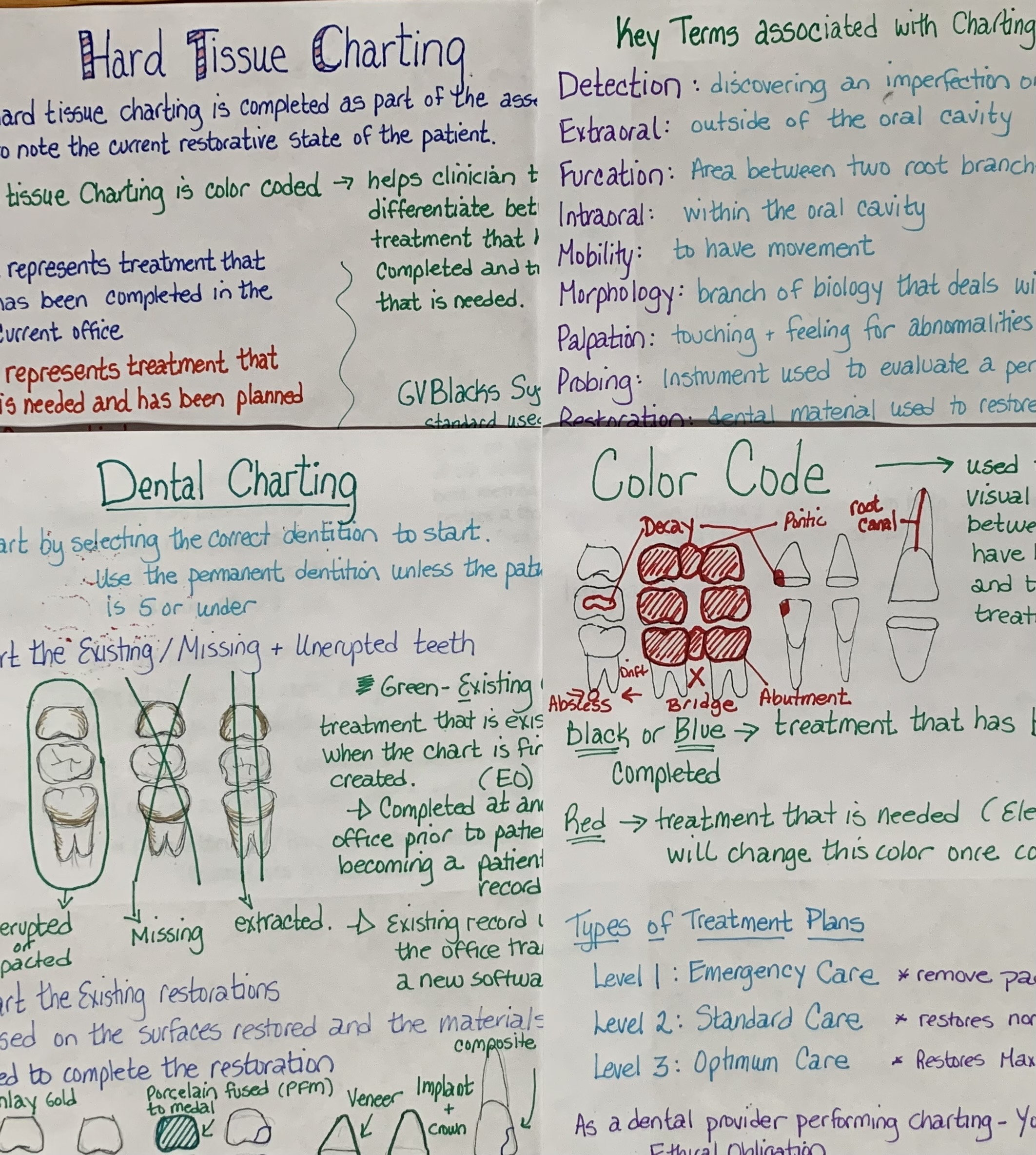 Hard Tissue Dental Charting Basics for the Dental Student - Etsy