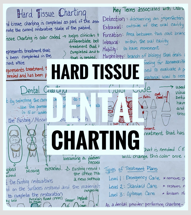 Hard Tissue Dental Charting Basics for the Dental Student - Etsy