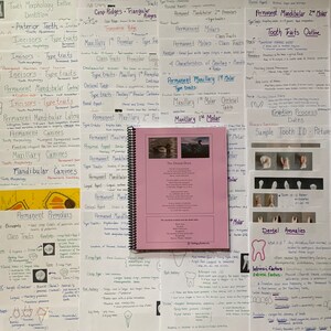 Dental Anatomy Comprehensive Hard Copy Spiralbound Book Black and White ...