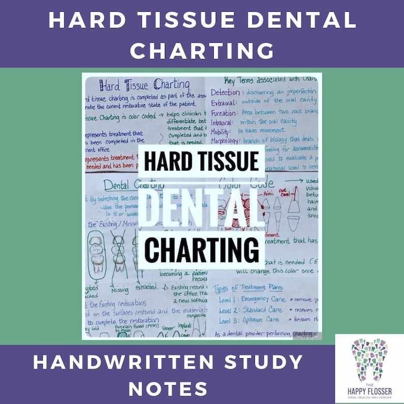 Hard Tissue Dental Charting Basics for the Dental Student - Etsy
