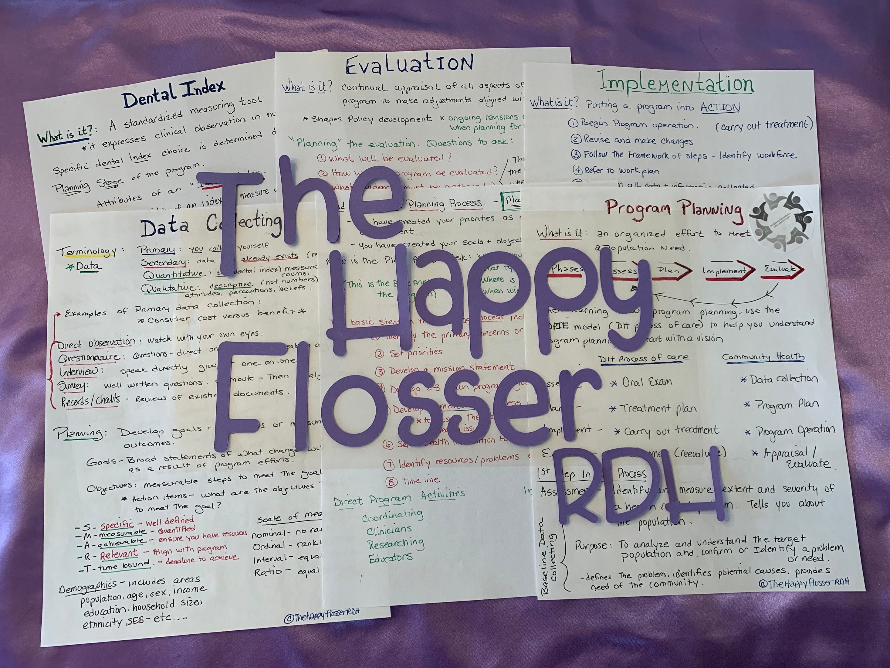 Program Planning Notes Step by Step for Dental Hygiene Students - Etsy
