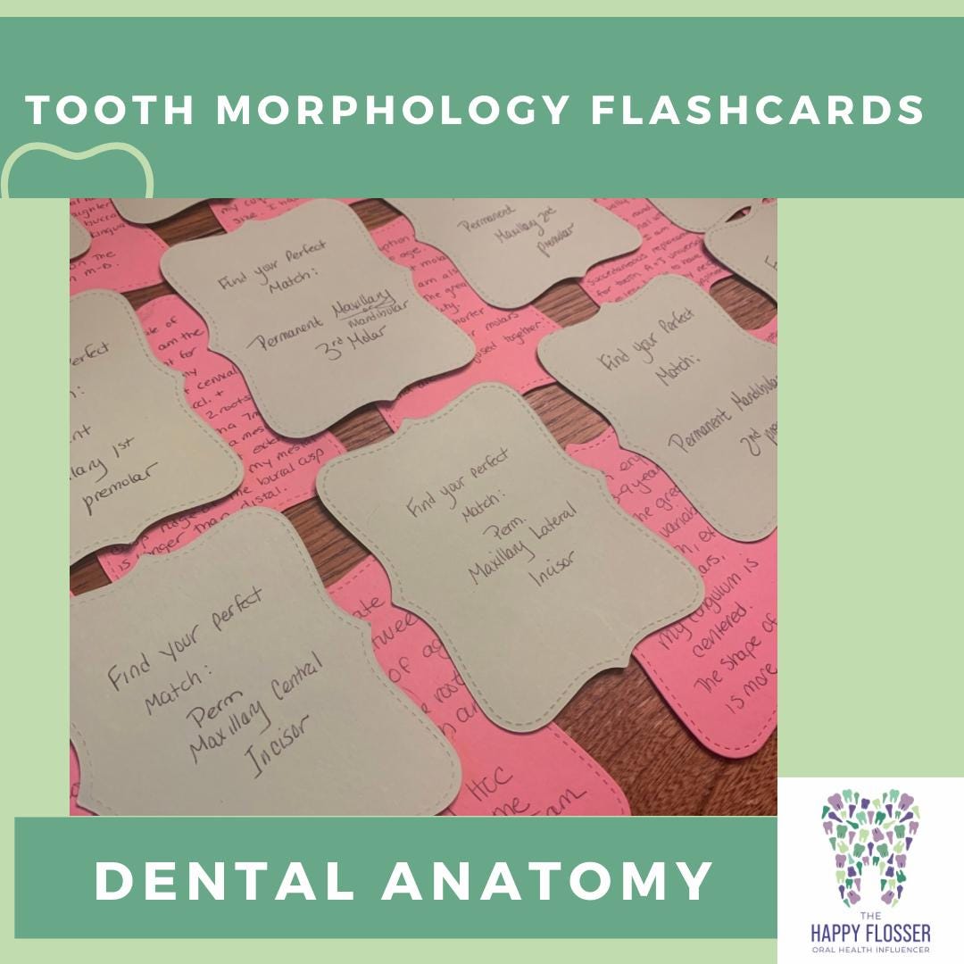 Activity Matching Flashcard Game on Tooth Anatomy for Dental Hygiene ...