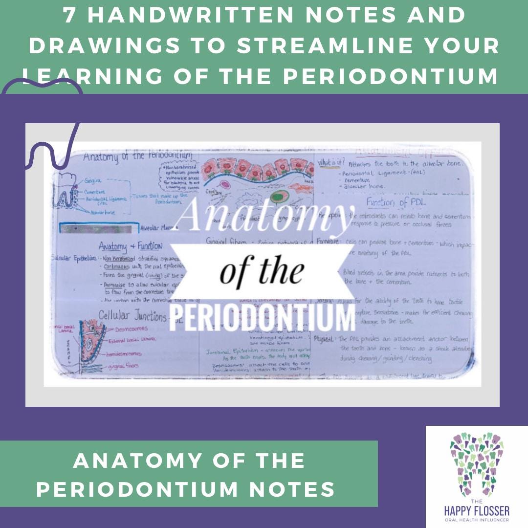 Anatomy of the Periodontium Study Sheets for the Dental Hygiene Student ...
