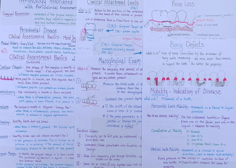 Periodontal Assessment Study Sheets for the Dental Hygiene Student - Etsy