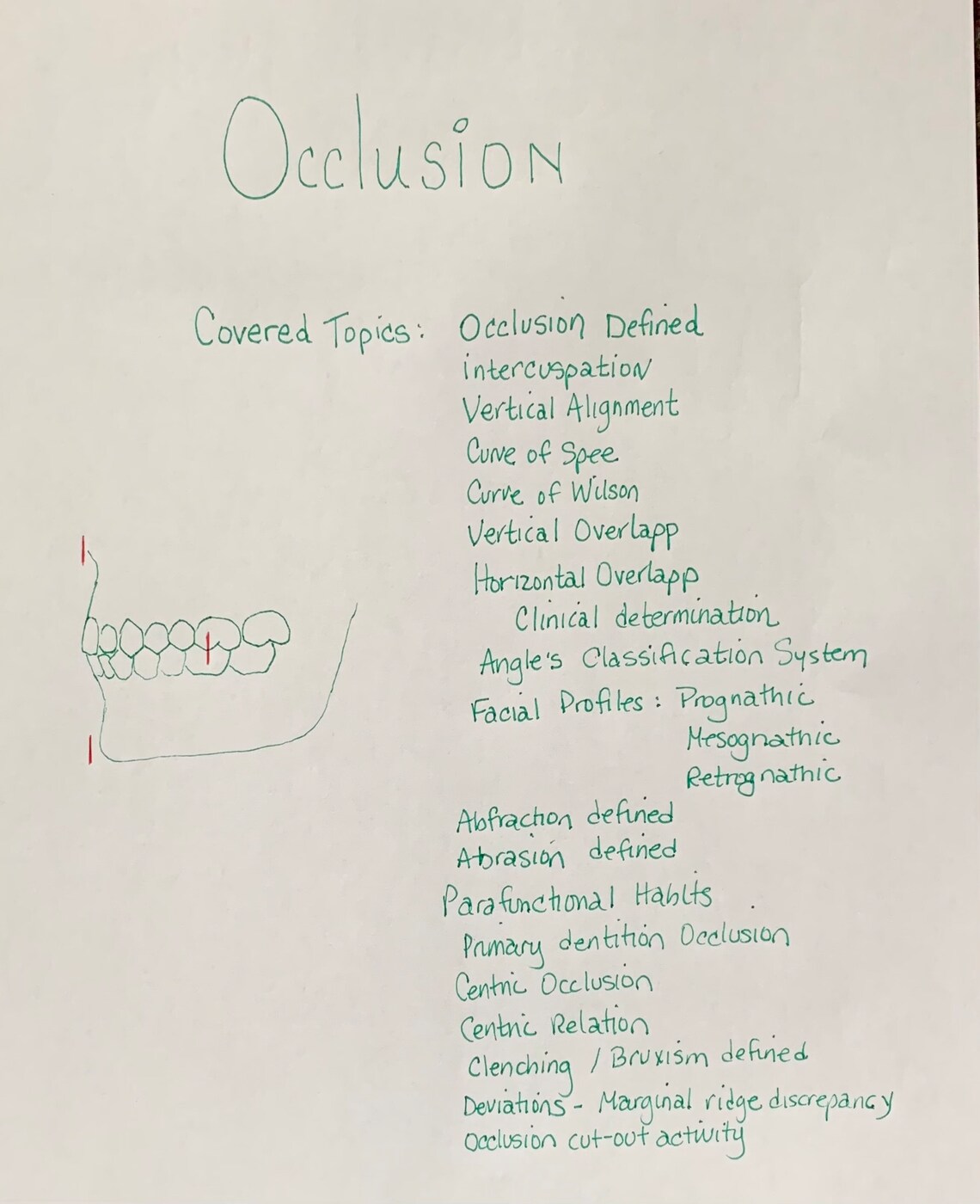 Occlusion Study Sheets and Flashcards for Dental Hygiene - Etsy