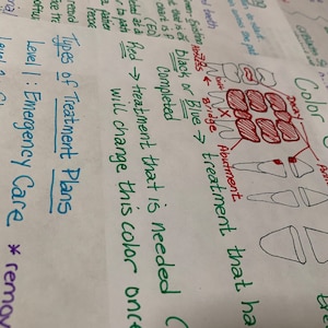 Hard Tissue Dental Charting Basics for the Dental Student - Etsy