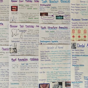 Anomalies in Dental - Study Sheets for Dental Hygiene Students - Etsy