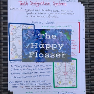 Tooth Designation Systems - Universal, ISO, and Palmer Study Sheets - Etsy