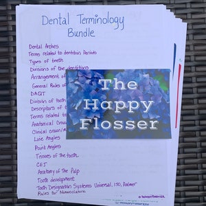 Dental Terminology Study Sheet Bundle and Flashcards for the Dental ...