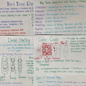 Hard Tissue Dental Charting Basics for the Dental Student - Etsy