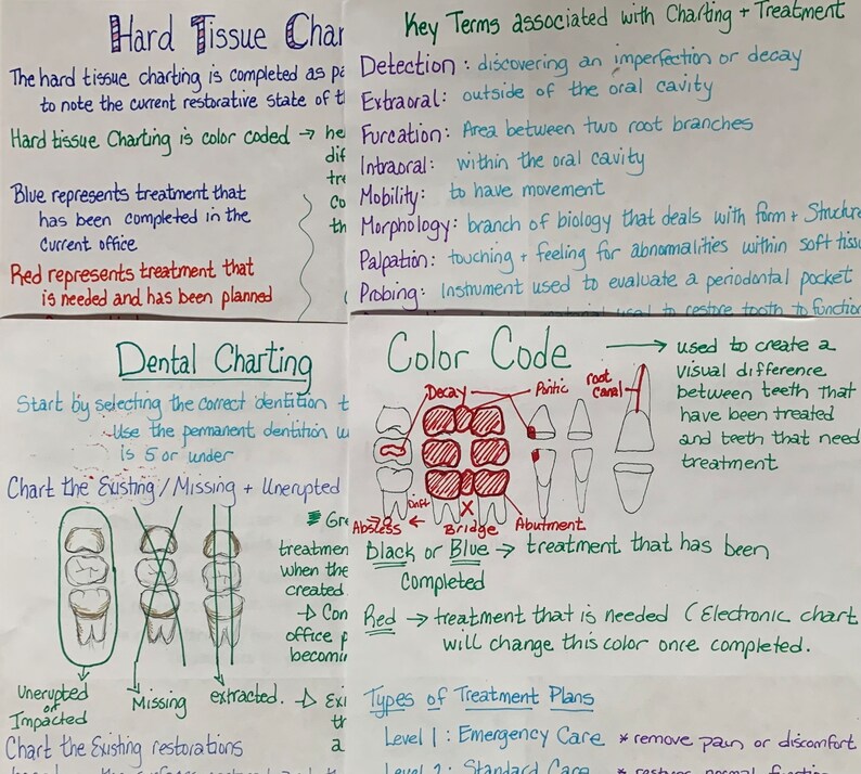 Hard Tissue Dental Charting Basics for the Dental Student - Etsy
