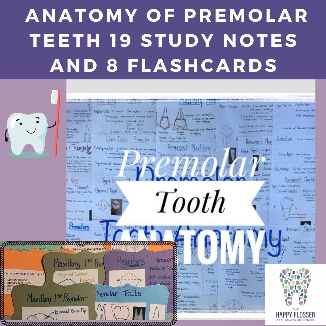 Premolar Tooth Morphology and Anatomy Study Sheets and Flashcards for ...