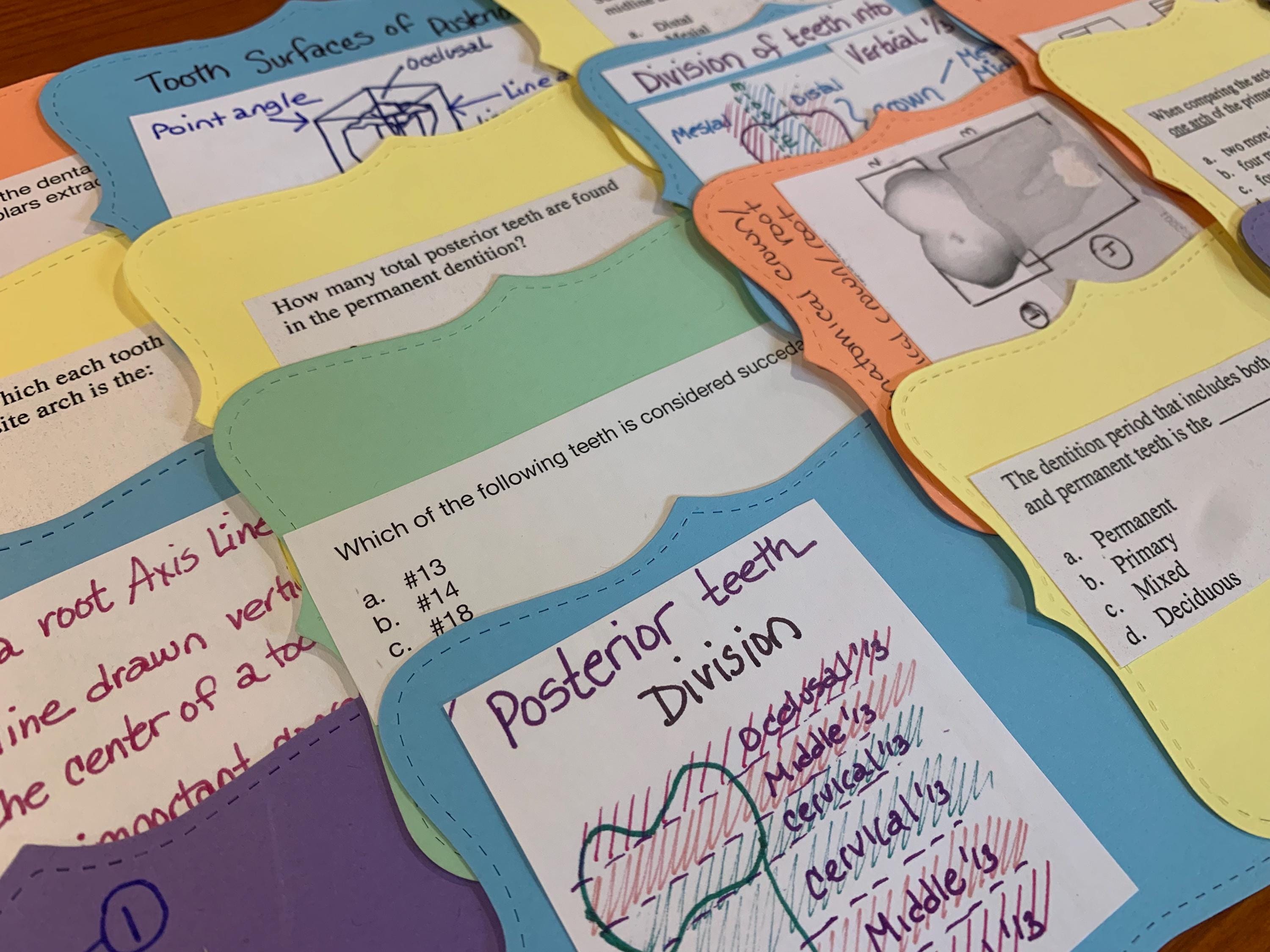 Dental Terminology Study Sheet Bundle and Flashcards for the Dental ...