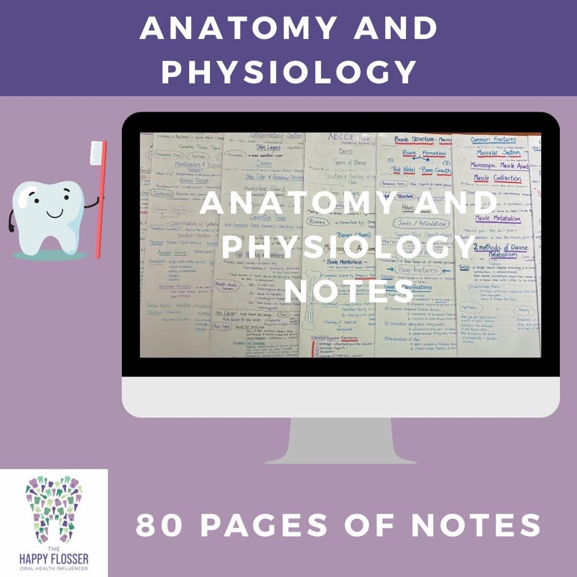 Anatomy and Physiology Study Notes Guide for Students in A&P - Etsy
