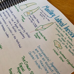 The Comprehensive Dental Hygiene Study Sheets Complete Bundle - Etsy