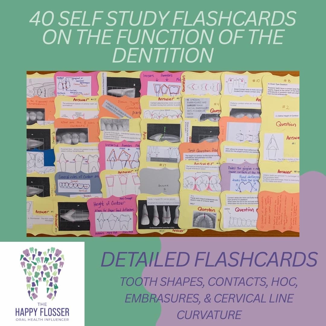 Dental Flashcards Form and Function for Dental Hygiene Students - Etsy