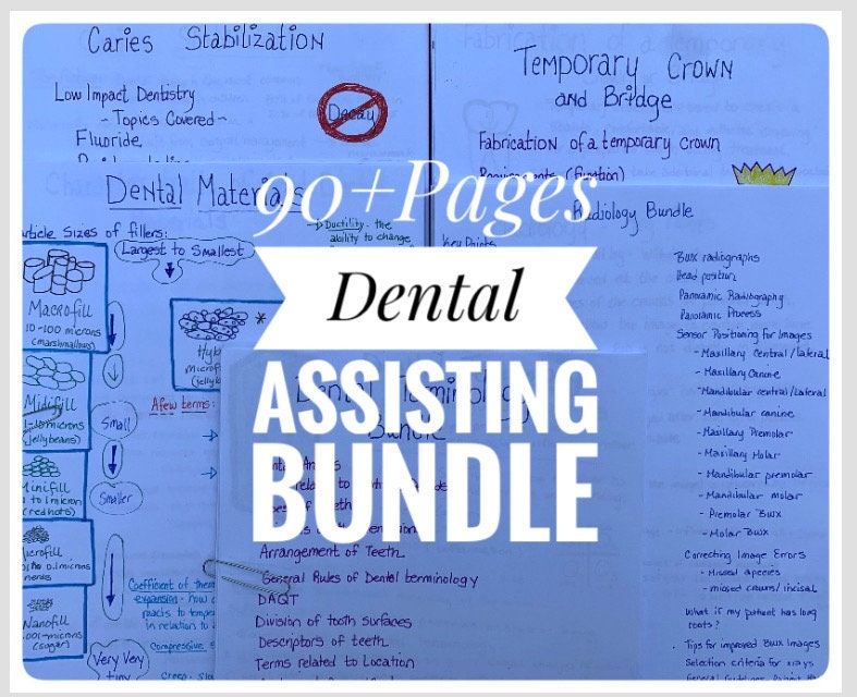 Comprehensive Bundle of Dental Terminology, Dental Materials and ...