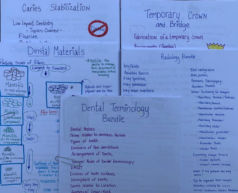 Comprehensive Bundle of Dental Terminology, Dental Materials and ...