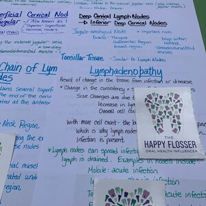 Lymphatic System Study Sheets for Dental Hygiene Students - Etsy