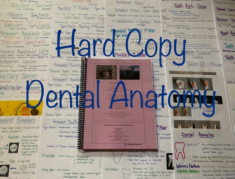Dental Anatomy Comprehensive Hard Copy Spiralbound Book Black and White ...