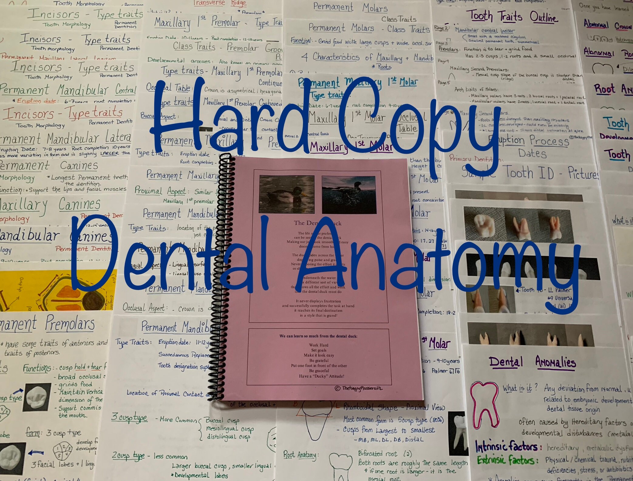 Dental Anatomy Comprehensive Hard Copy Spiralbound Book Black and White ...