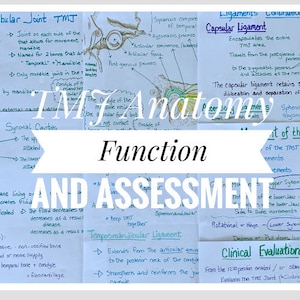 TMJ Anatomy and Function Study Sheets for Dental Hygiene Students - Etsy