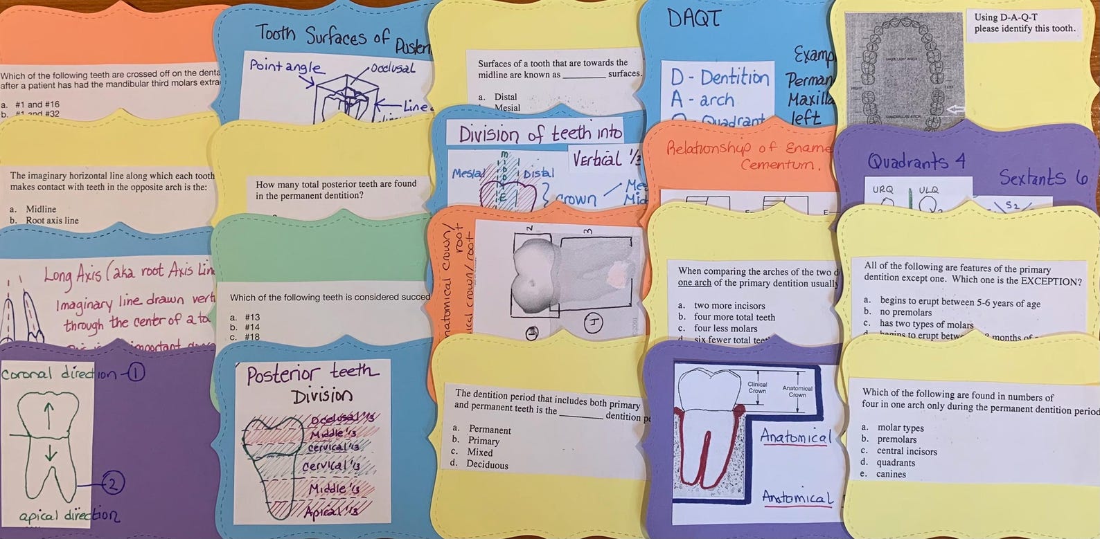 Dental Terminology Study Sheet Bundle and Flashcards for the Dental ...