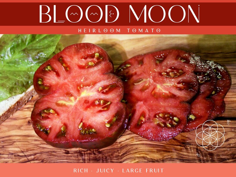 Blood Moon Tomato Seeds, Dark Heirloom, Organically Grown (15 Seeds ...