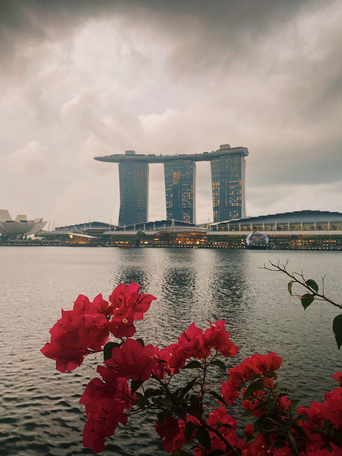 1 Day in Singapore TRAVEL GUIDE, Travel Itinerary, Travel Planning - Etsy