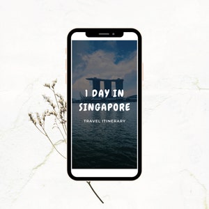1 Day in Singapore TRAVEL GUIDE, Travel Itinerary, Travel Planning - Etsy