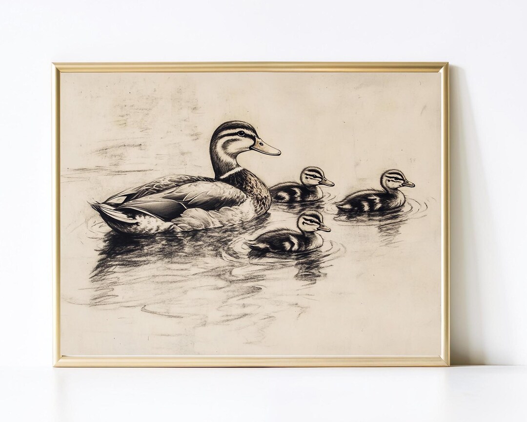 Vintage Ducks Drawing | Antique Sketch Art Print | Vintage Print ...
