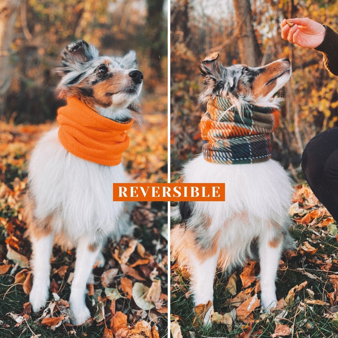 Basecamp | Dog Scarf, Reversible, Fleece Dog Scarf, Dog Cowl, High ...