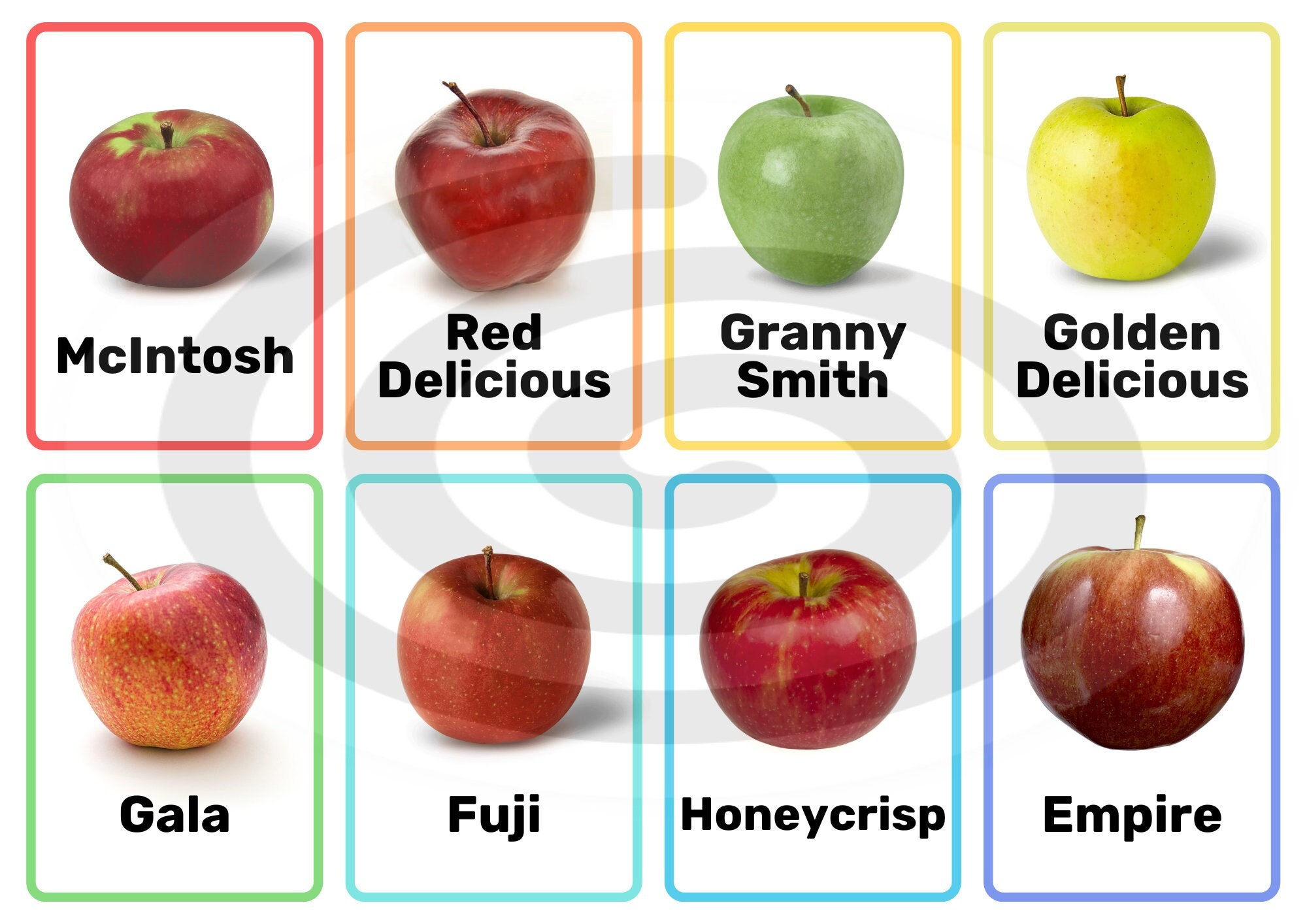 8 Common Apples Printable Flashcards | Instant Download | Montessori ...