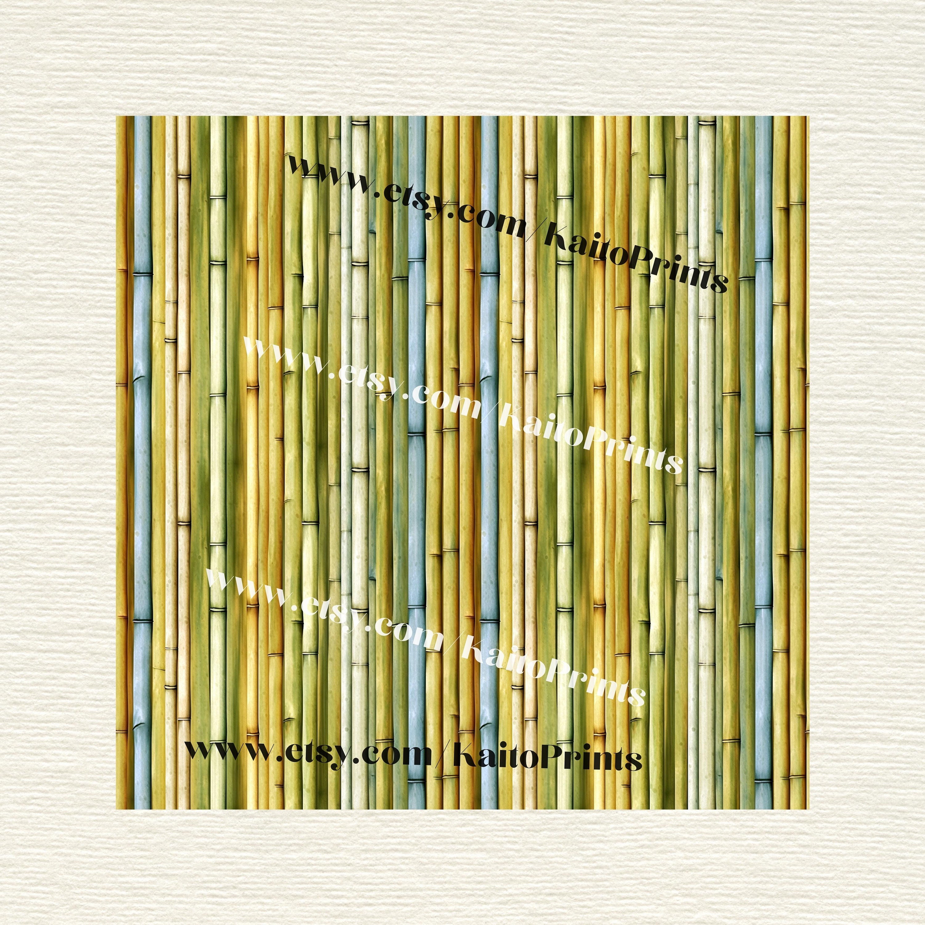 Bamboo Patterns, Bamboo Wall Patterns, Bamboo Digital Paper, Colorful ...