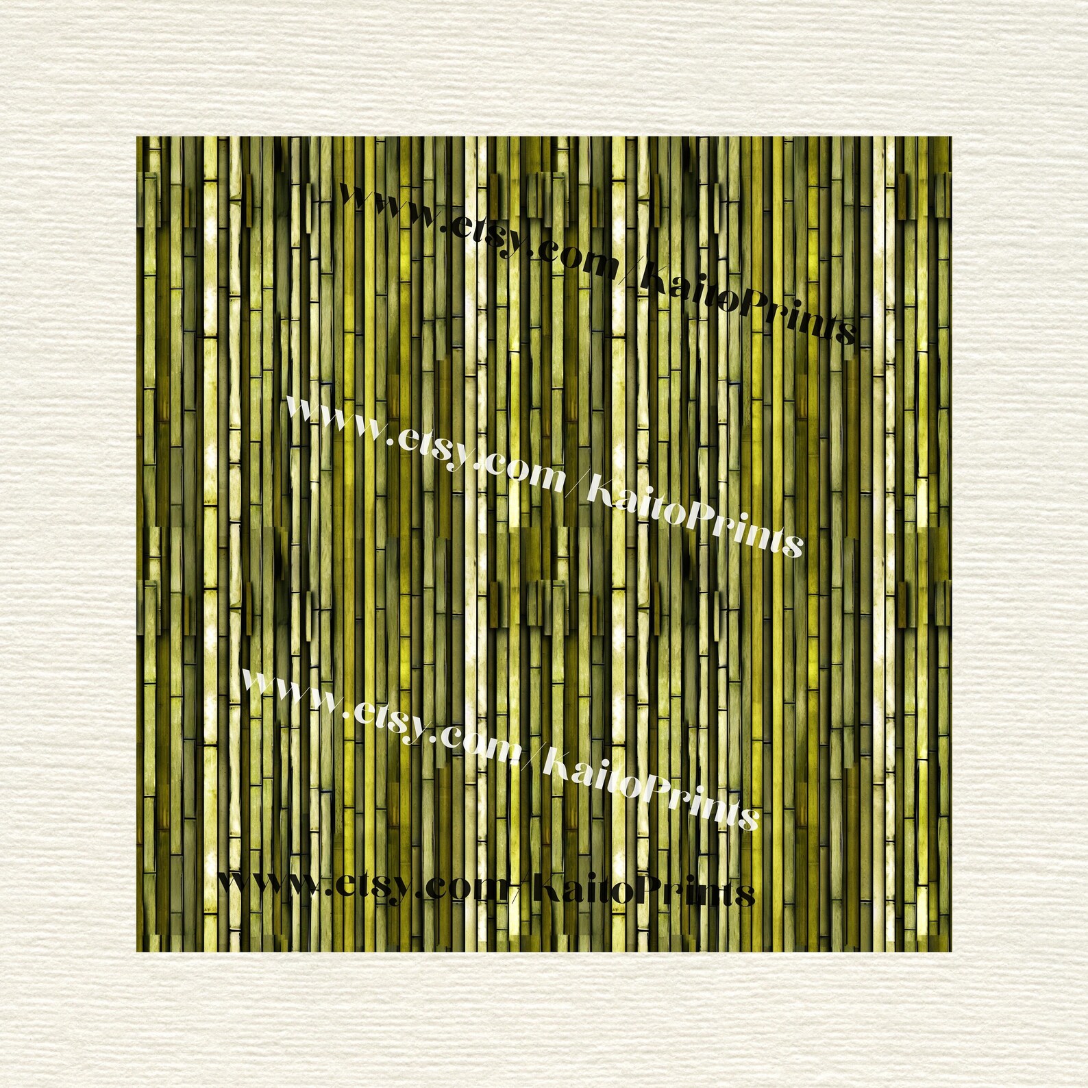 Bamboo Patterns, Bamboo Wall Patterns, Bamboo Digital Paper, Colorful ...