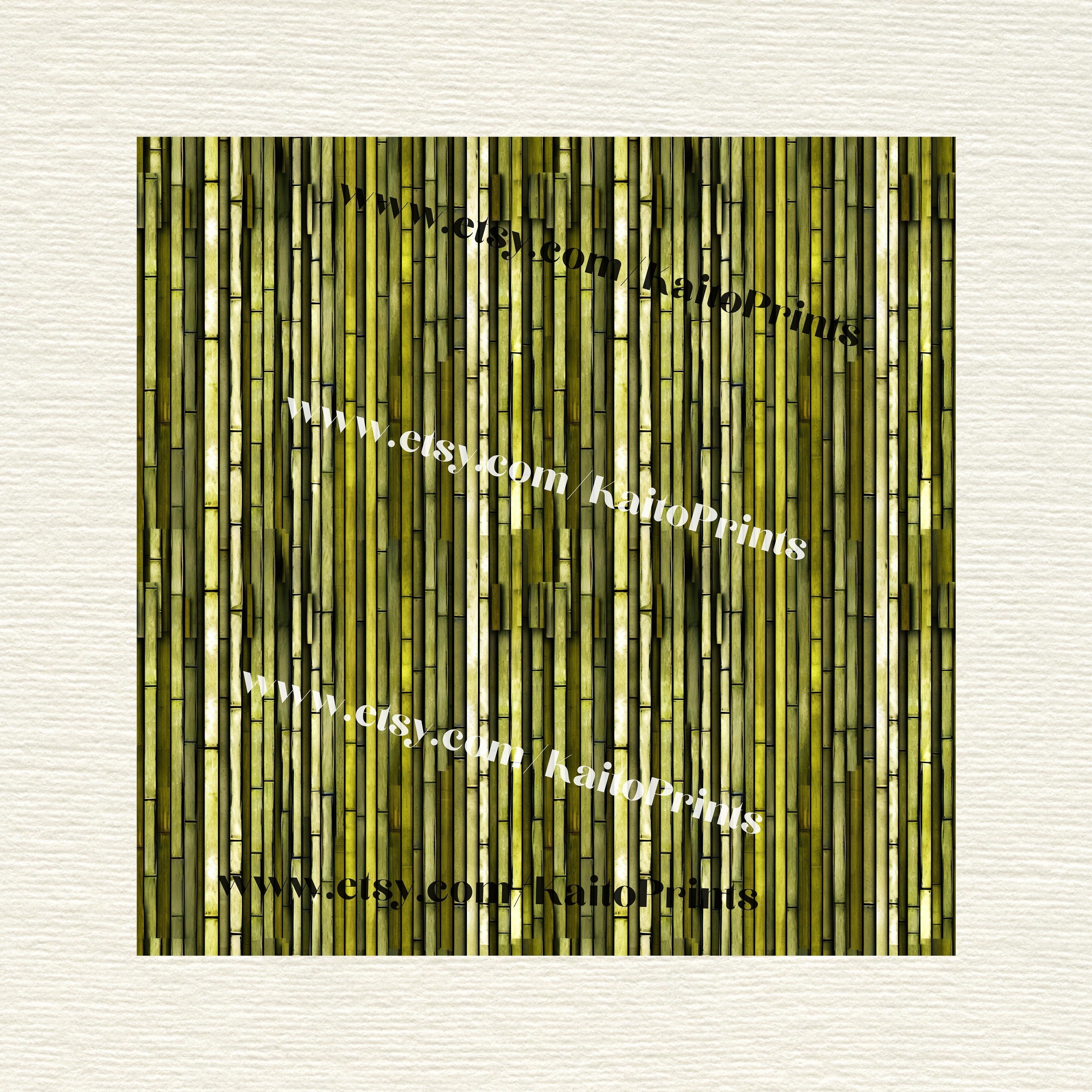 Bamboo Patterns, Bamboo Wall Patterns, Bamboo Digital Paper, Colorful ...