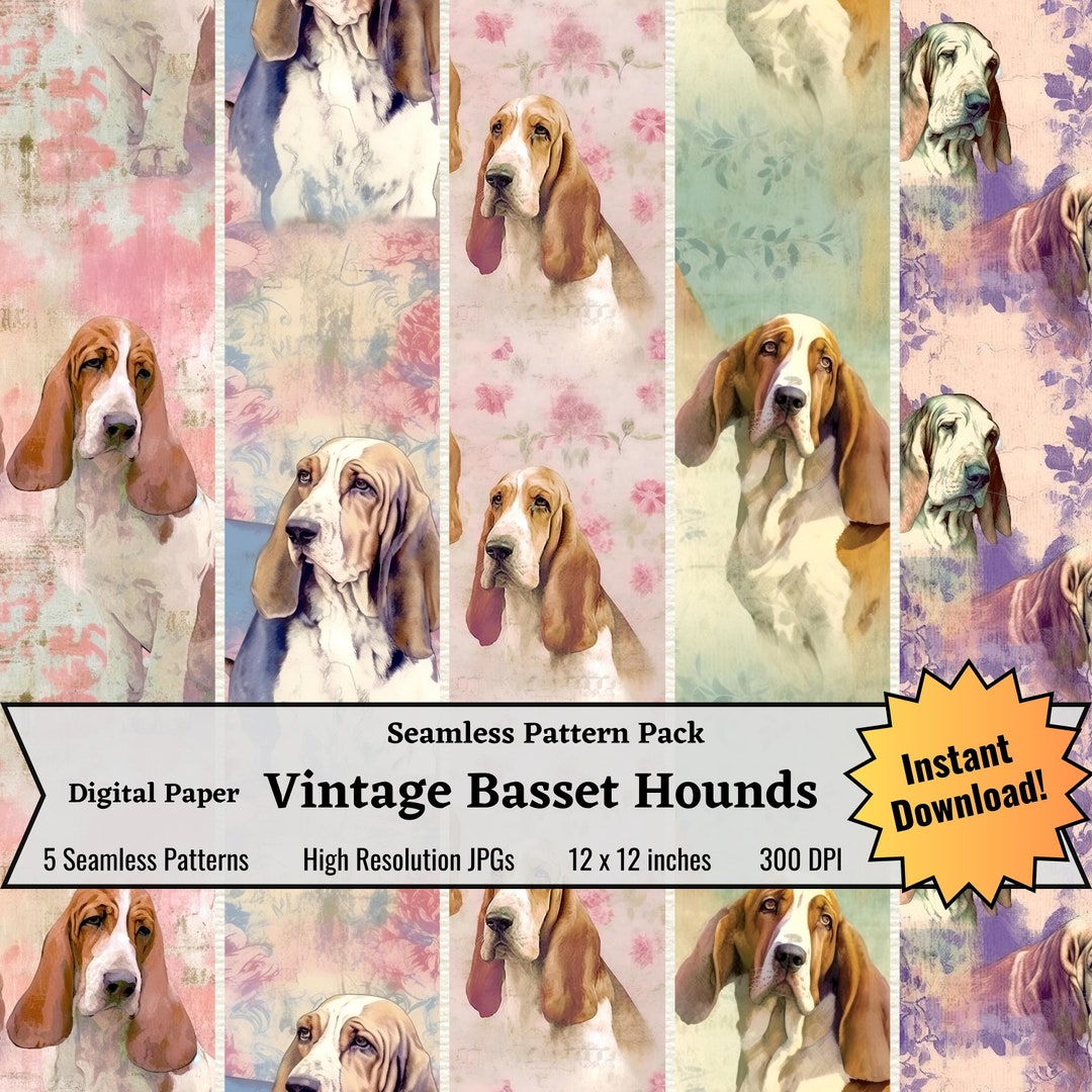 Vintage Basset Hound Patterns, Chic Hound Dog Patterns, Cute Basset ...