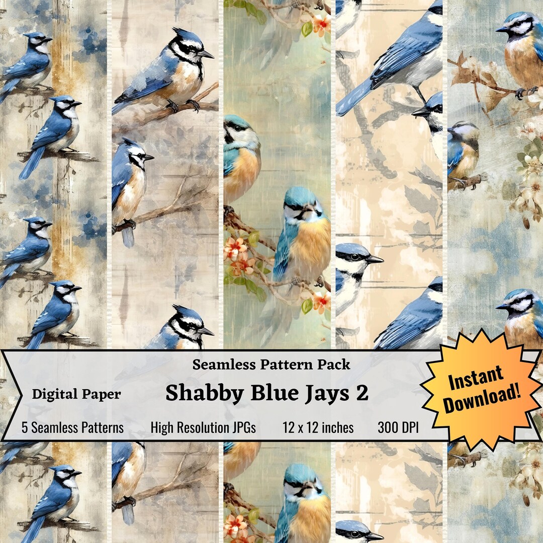 Vintage Blue Jay Patterns, Chic Blue Jays Patterns, Cute Blue Jay ...
