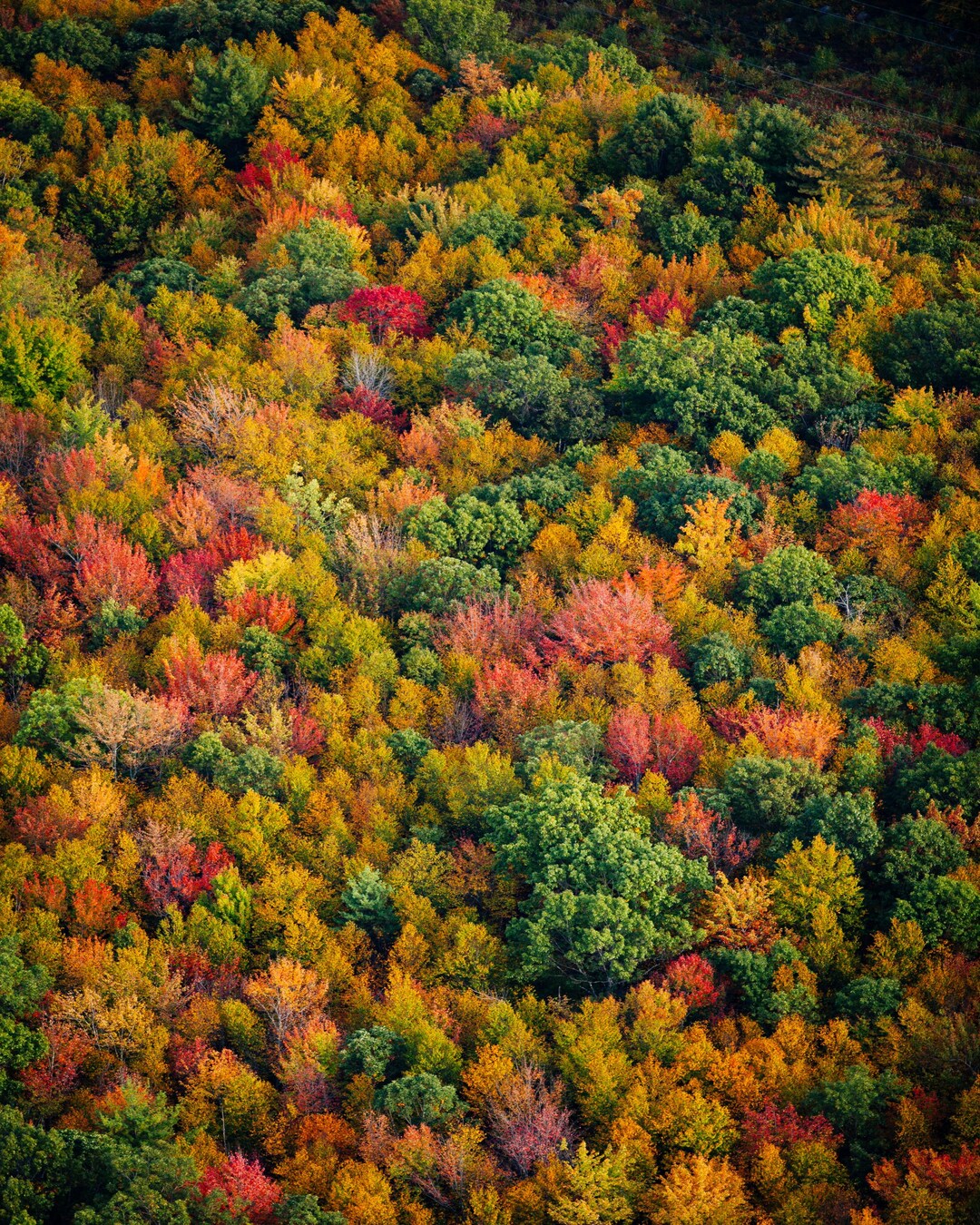 Aerial View of New England Fall Foliage Color - Etsy
