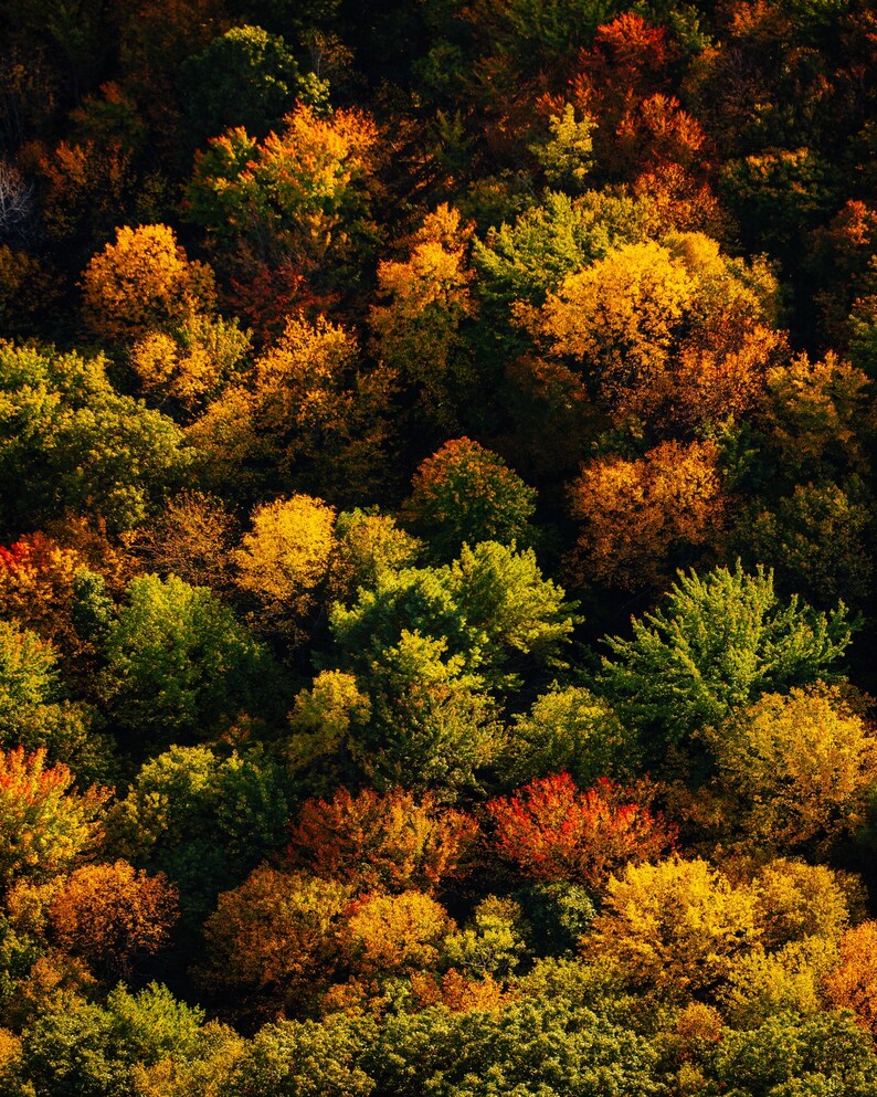 Aerial View of New England Fall Foliage Color - Etsy