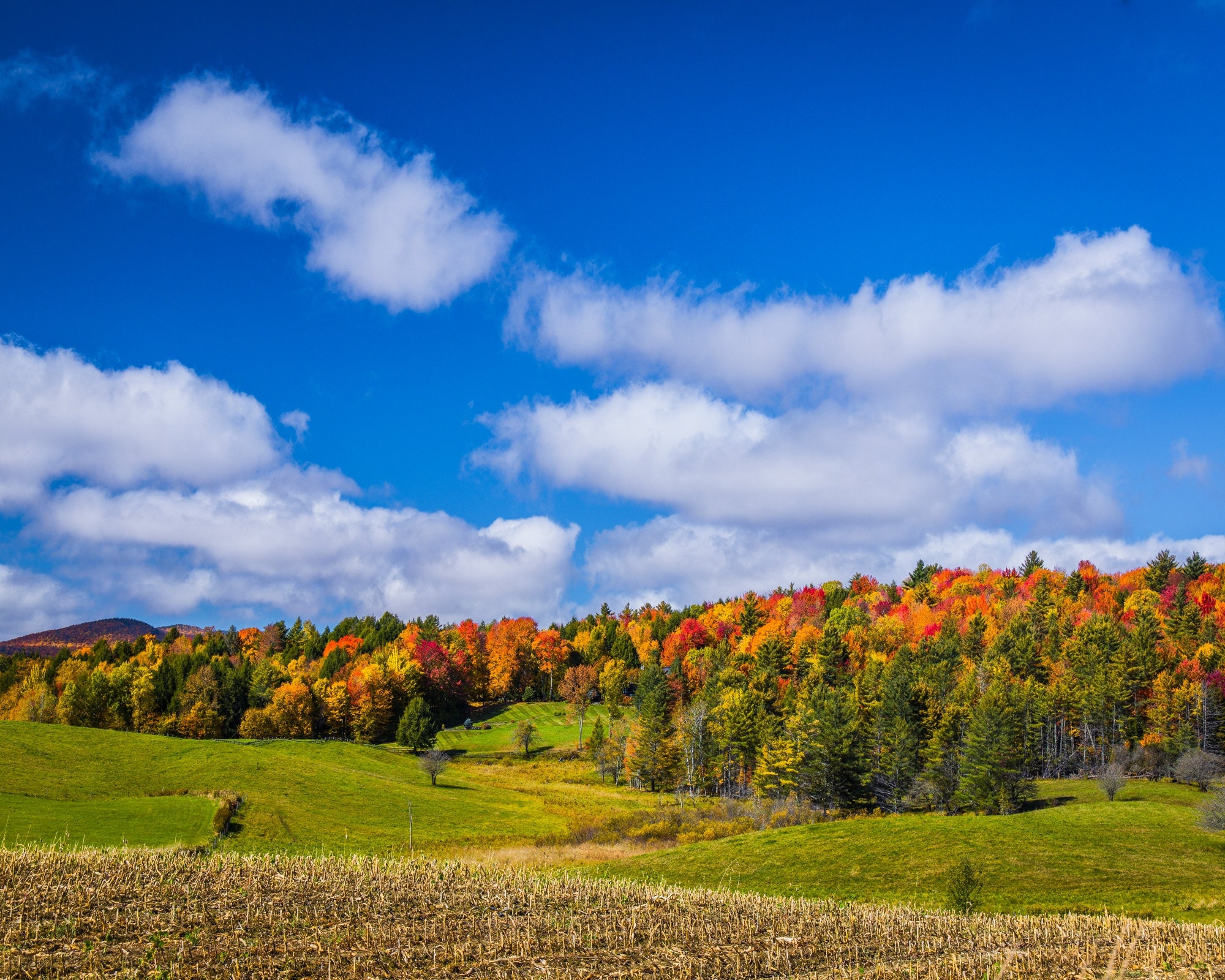 New England Fall Foliage Colors-pastoral Brilliant Fall Color and ...