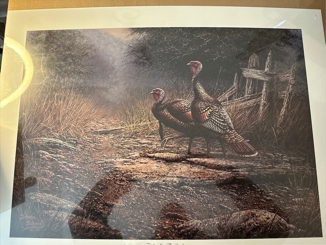 Dennis Schmidt “turkey on the Rocks” Print #599/970 W/cert of Limited ...