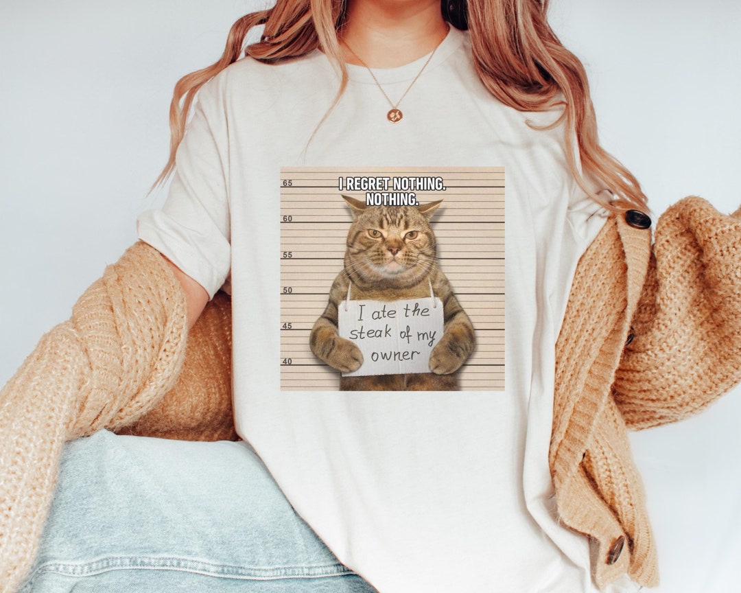 Funny Cat Meme I Regret Nothing Shirt, Ironic Shirt Weirdcore Clothing ...