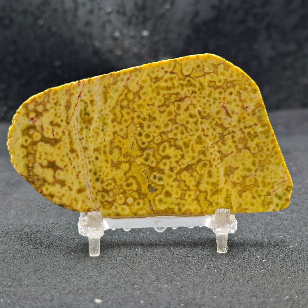 Stoney Creek Orbicular Jasper From California, Lapidary Slab, Natural ...