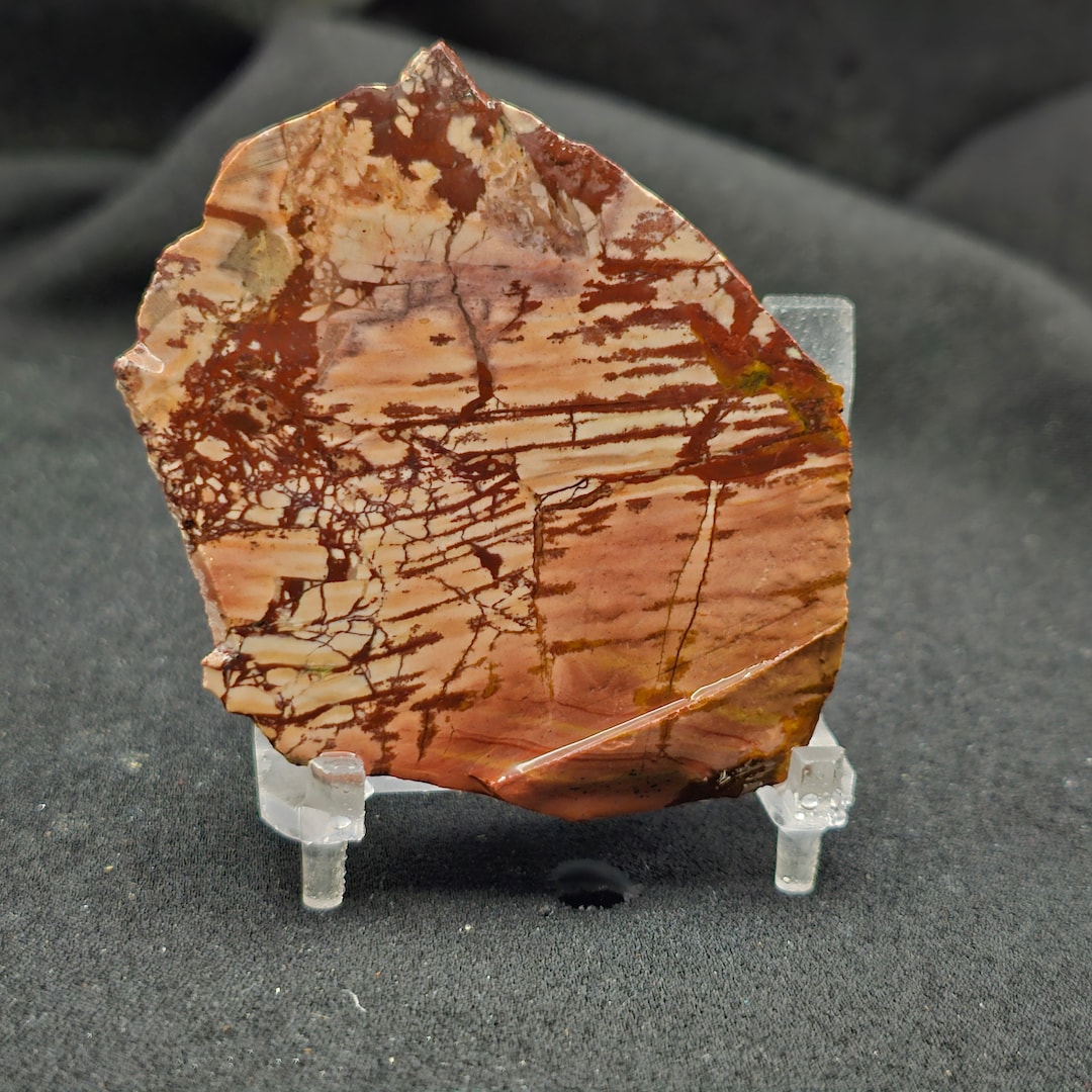Dead Camel Jasper From Nevada, Lapidary Slab END CUT, Natural Stone for ...