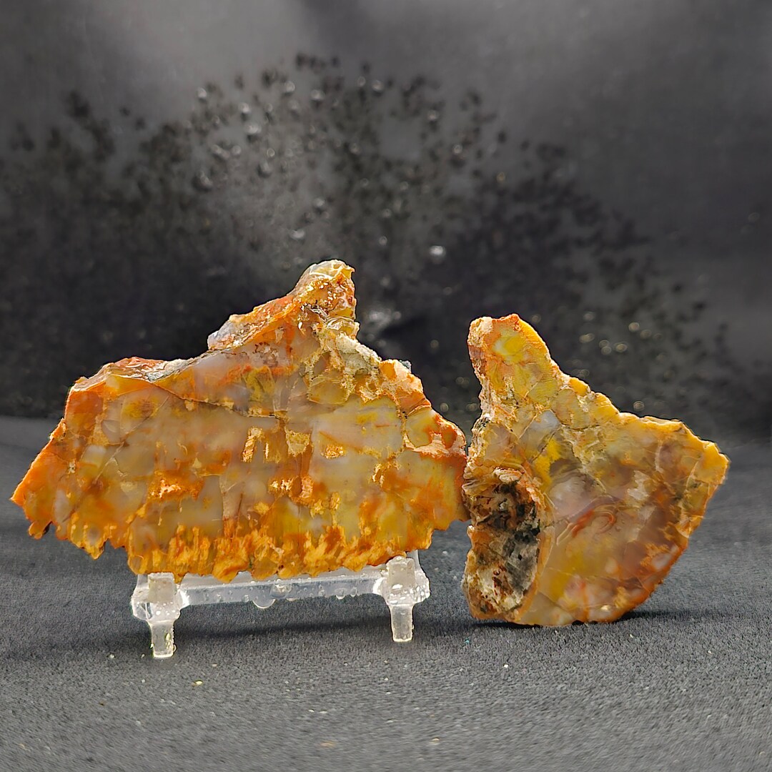 Opalized Petrified Wood From Arizona, Lapidary Slab, Stabilized in ...