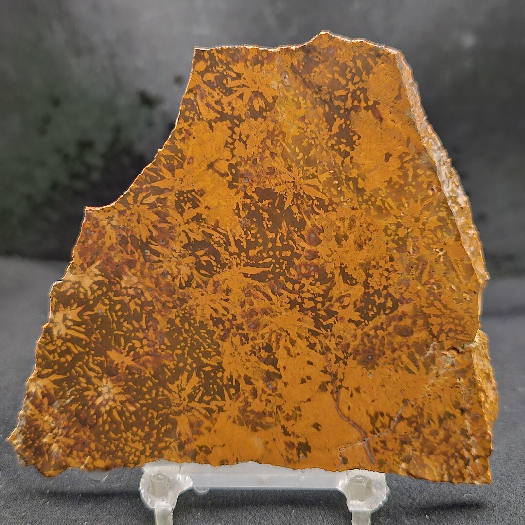 Spider Jasper From Mexico, Lapidary Slab, Natural Stone for Cabbing ...