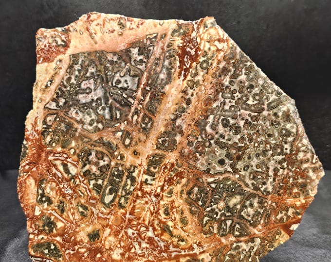 Leopard Skin Jasper From Mexico, Lapidary Slab, Natural Stone for ...