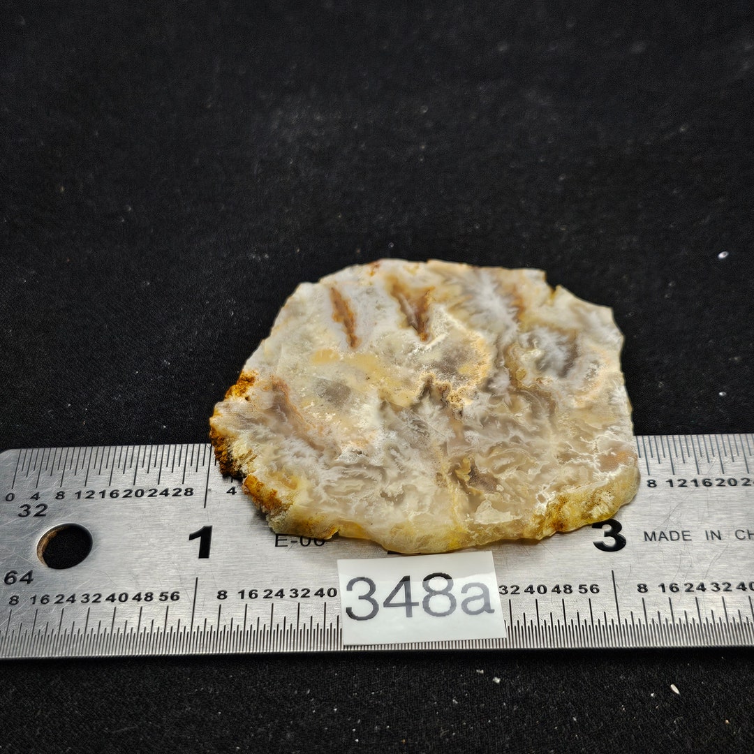 Bella Vista Angel Wing Plume Agate From Oregon, Lapidary Slab, Natural ...