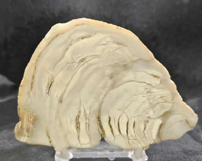 White Rose Jasper From Arizona, Lapidary Slab, Natural Stone for ...